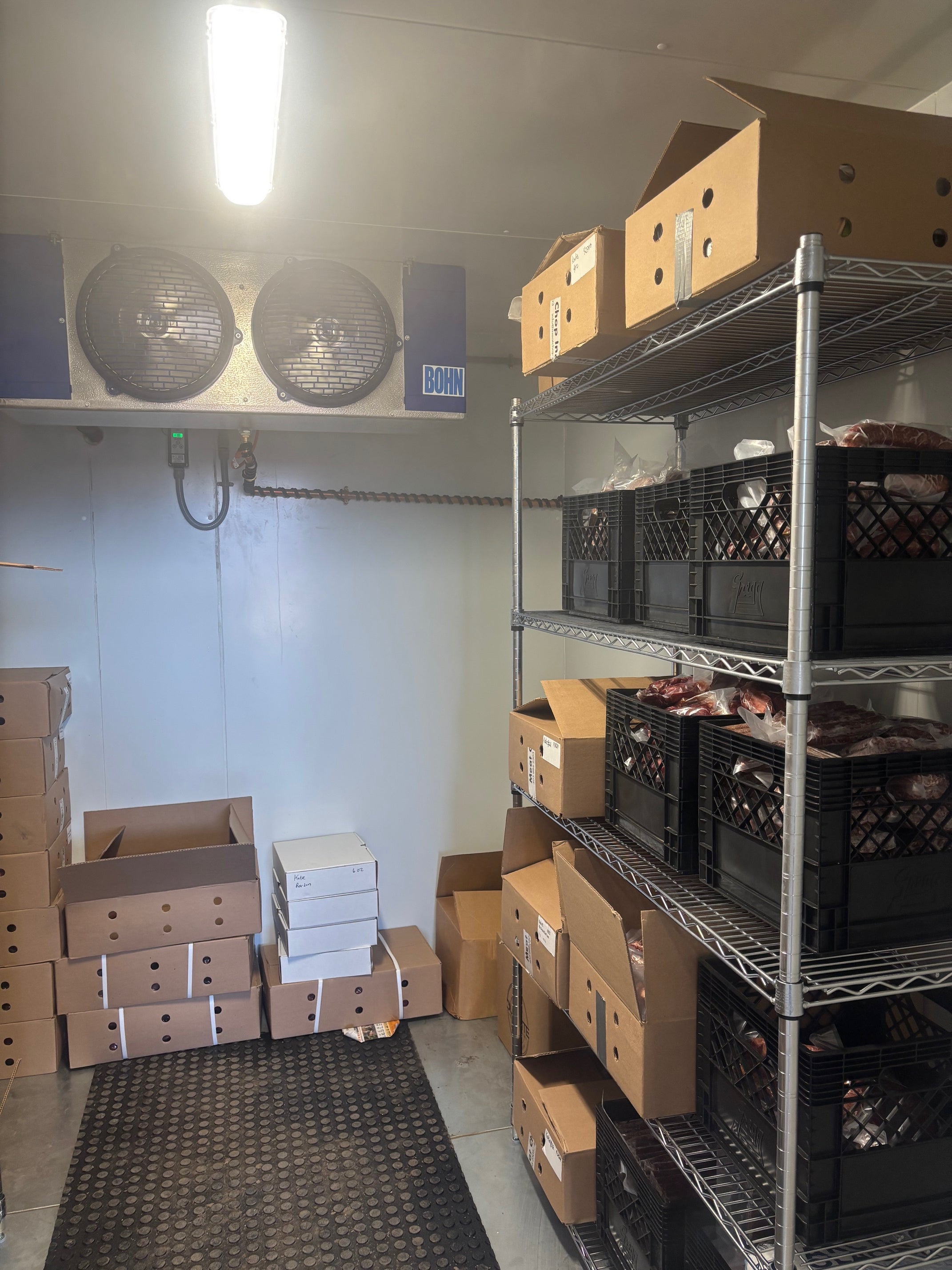 DRSS Beef Walk in Freezer Tour – Dun Rite Stock and Stables